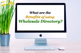 Discover how Wholesale Directory can Benefits your Ecommerce Business ...