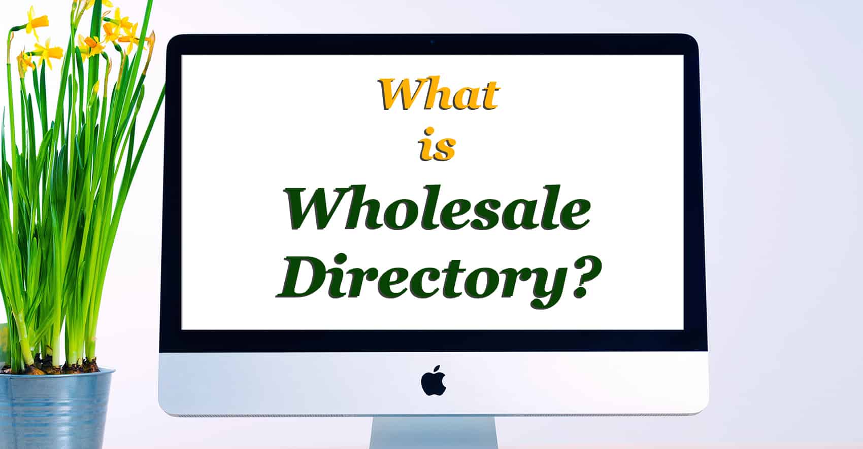 Discover how Wholesale Directory can Benefits your Ecommerce Business ...